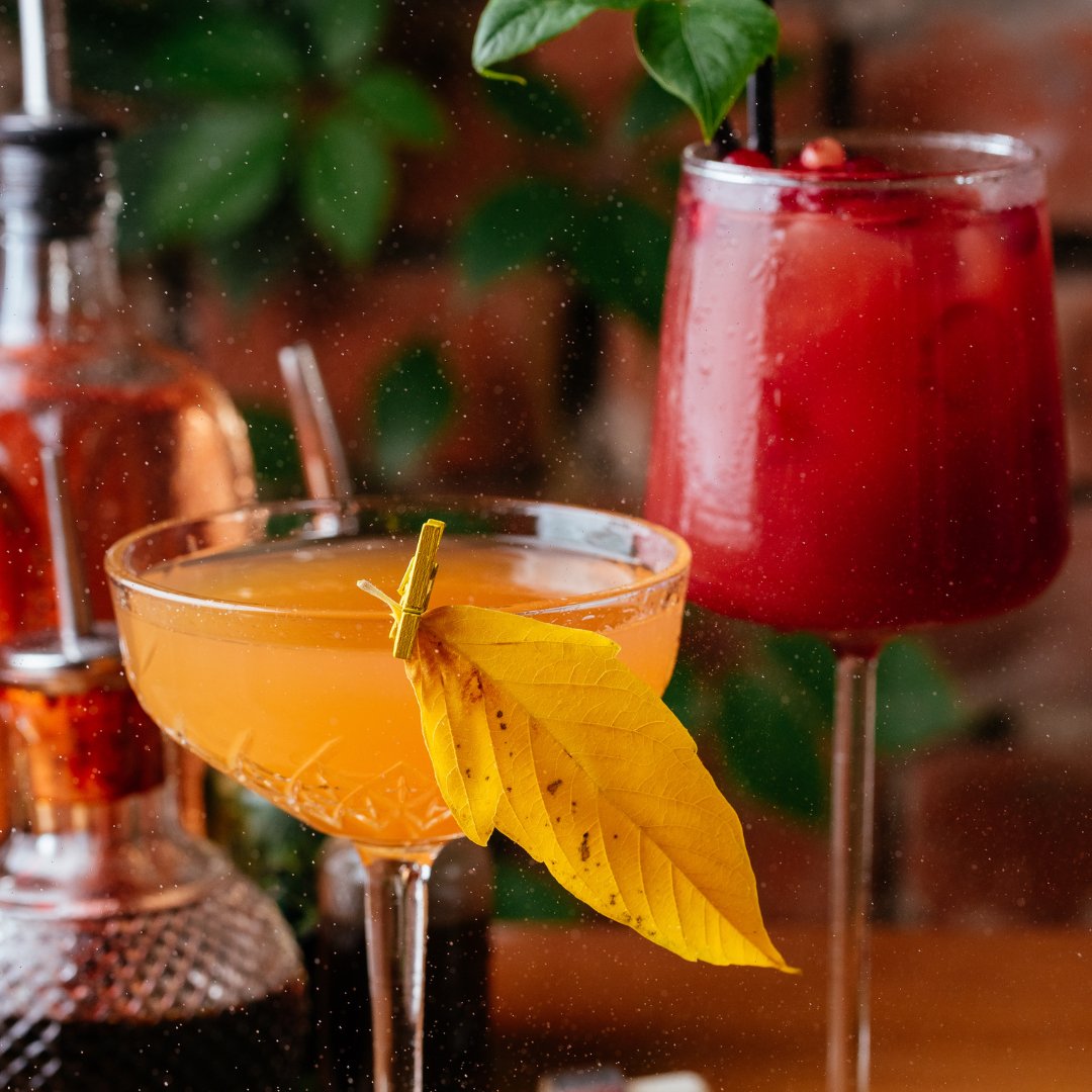 Fall In Love with These Perfect Autumn Cocktails – Twisted Alchemy